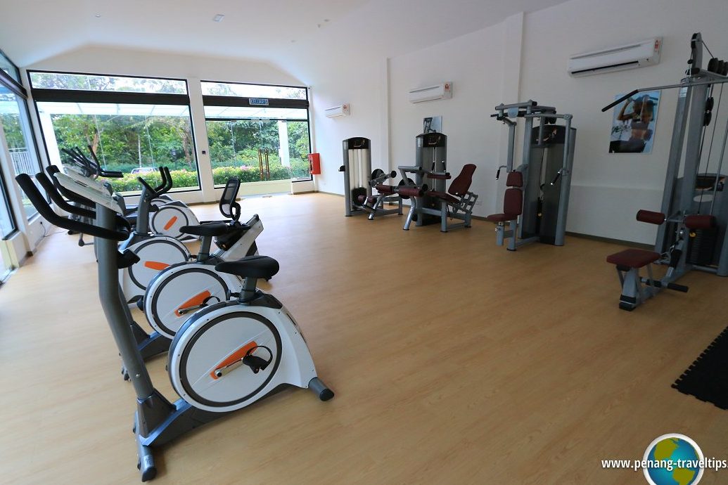 Botanica mansion gym